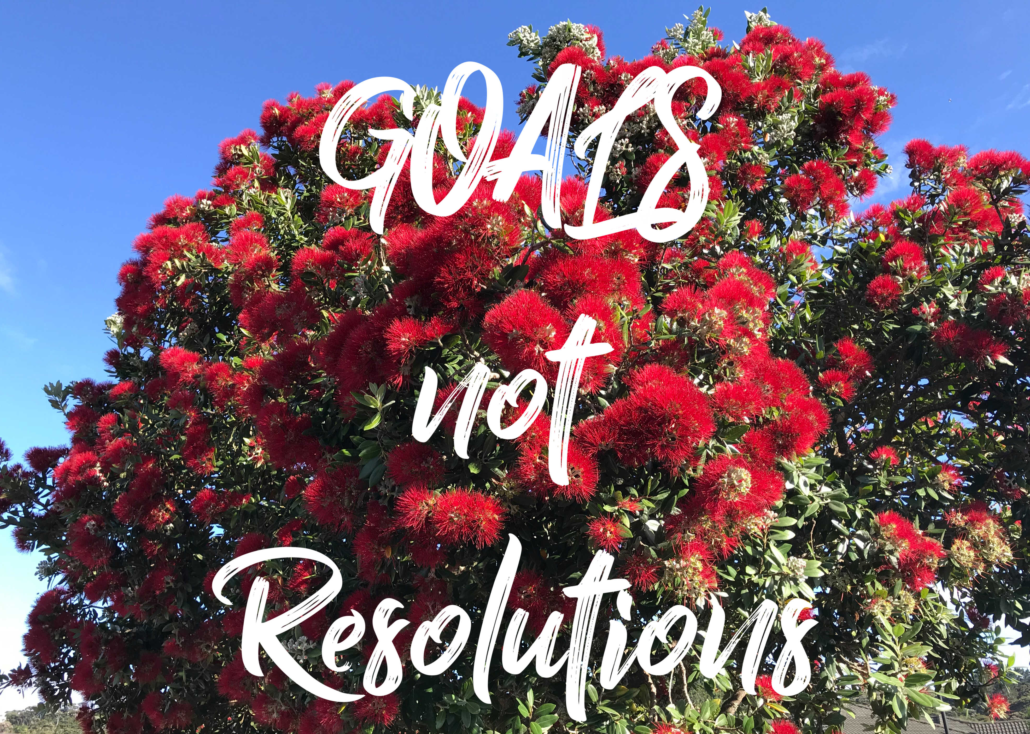 Set yourself some New Year's Goals, not resolutions - Melissa Loses It